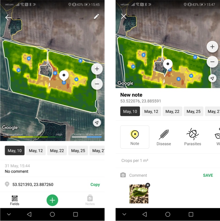 OneSoil Scouting app: How to watch your crops grow with satellite imagery