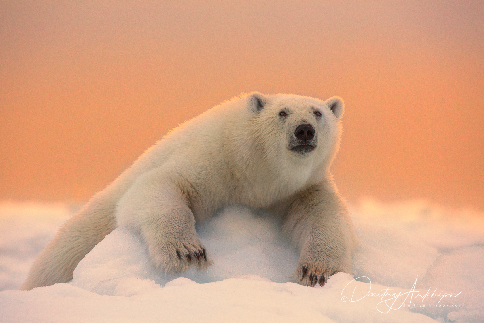 Svalbard Photography tour 2020