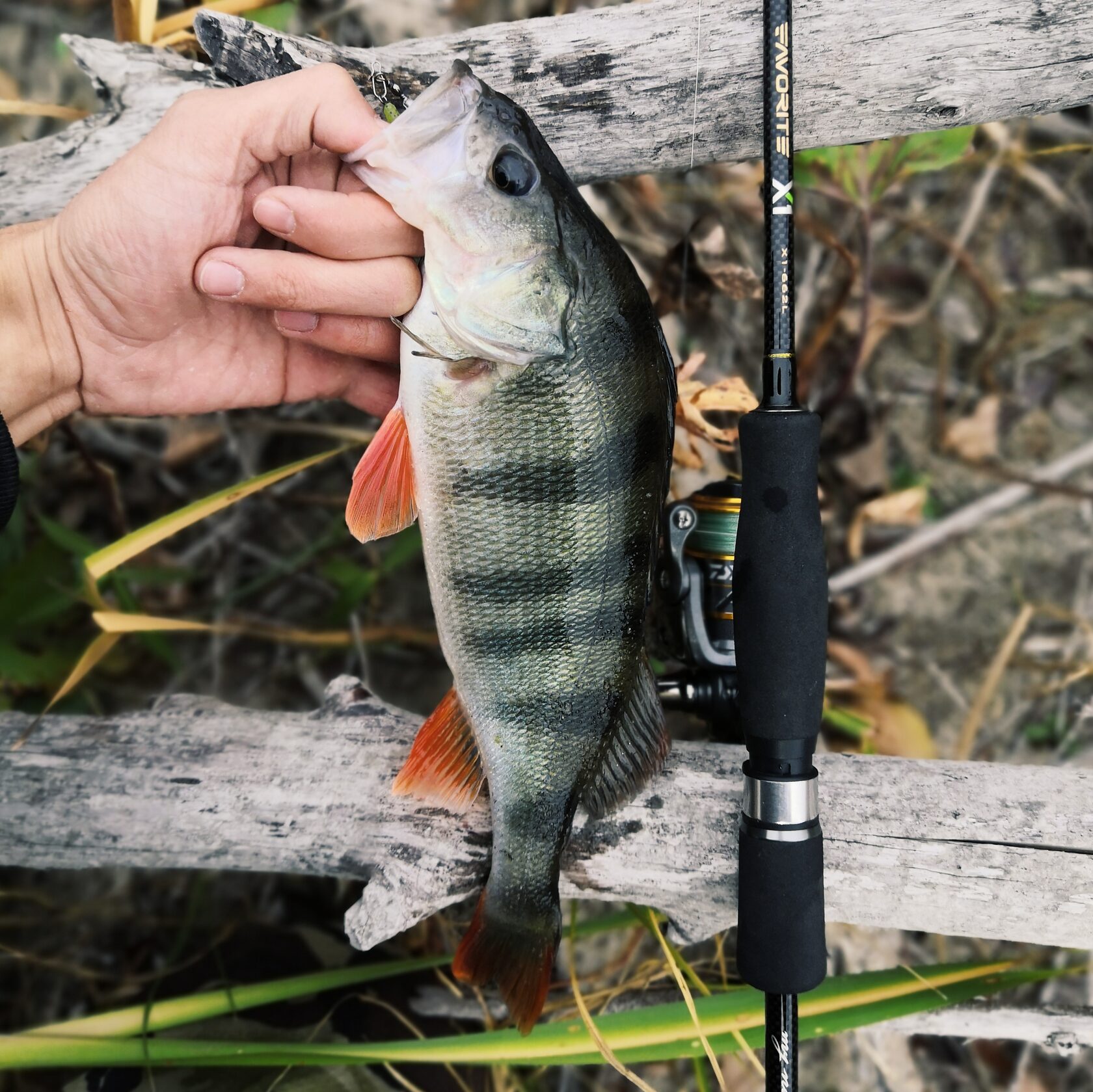 Силиконовые приманки Jiggalo