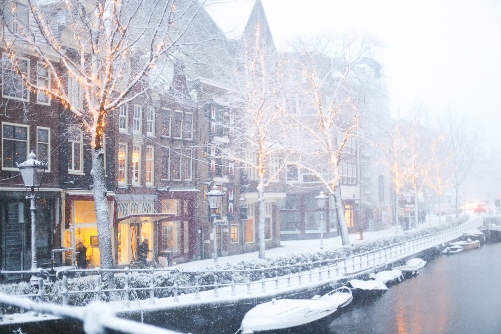 Amsterdam In November [2024]: weather, things to do, travel tips