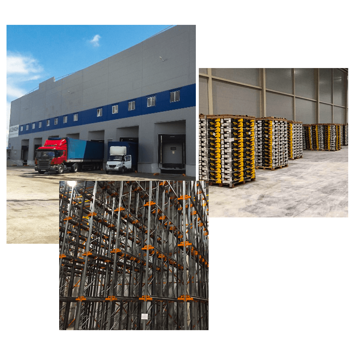 YOLKA Warehouse Management System #wms | yolka.io