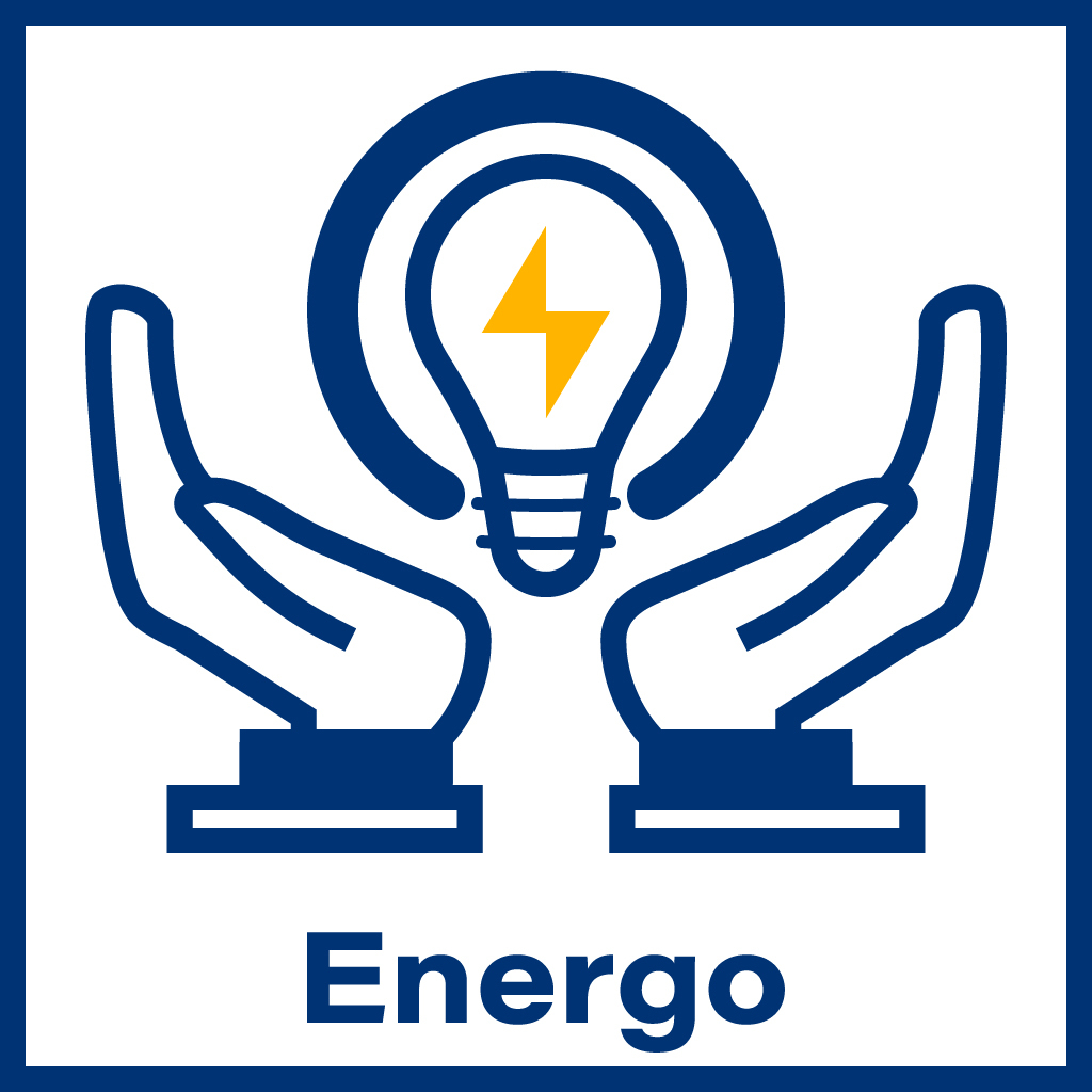 Energy management system Energo