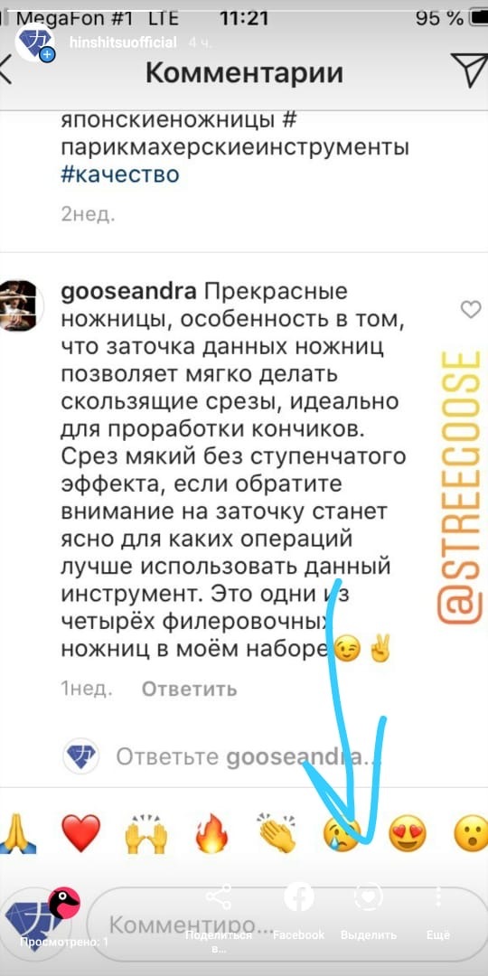 Парикмахерские профессиональные ножницы Hinshitsu