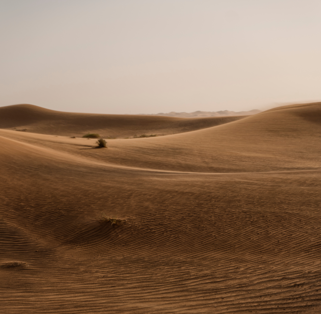 Yamicospro - Косметика, вдохновляющая изменить мир внутри вас