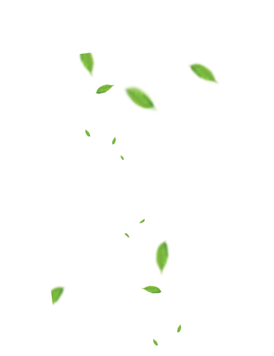 Официальный сайт Deva Slim — капсулы для похудения