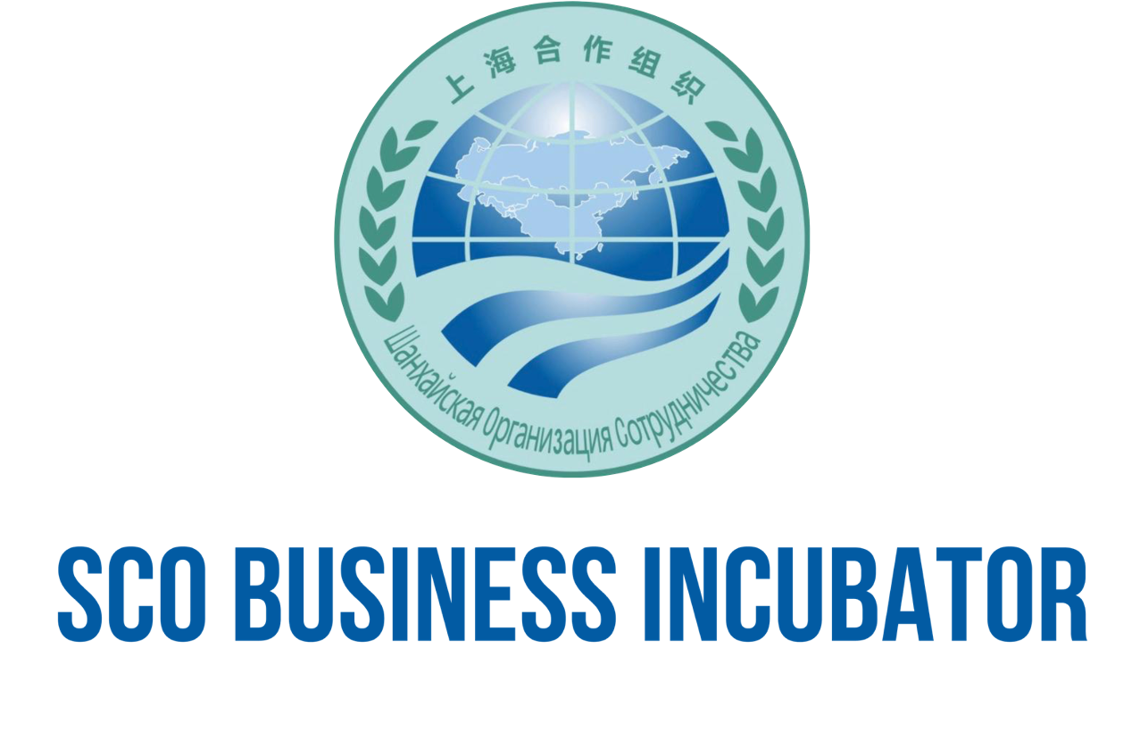 The International Youth Acceleration Program “SCO Business Incubator”