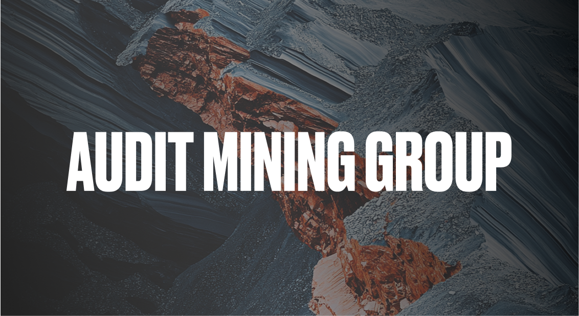 Audit Mining Group