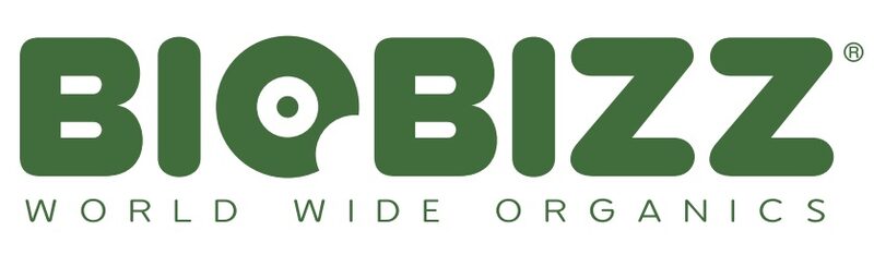 Главная страница