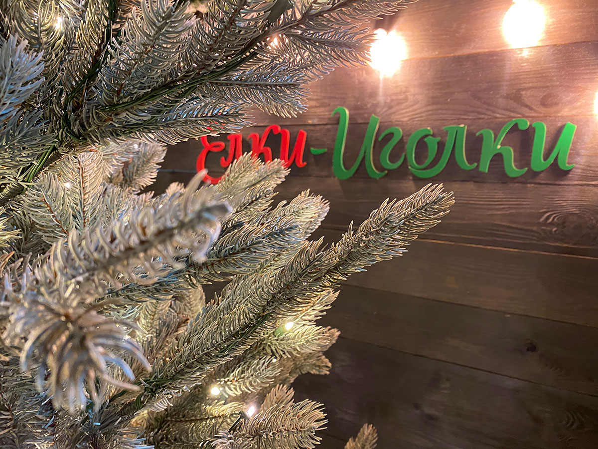 Настольная ёлка ГРАФСКАЯ. Доставка по СПБ и РФ — www.elki-igolki.ru