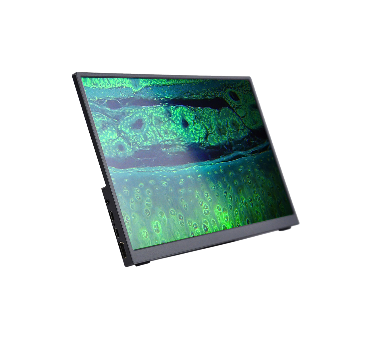 MAGUS. Objective Excellence