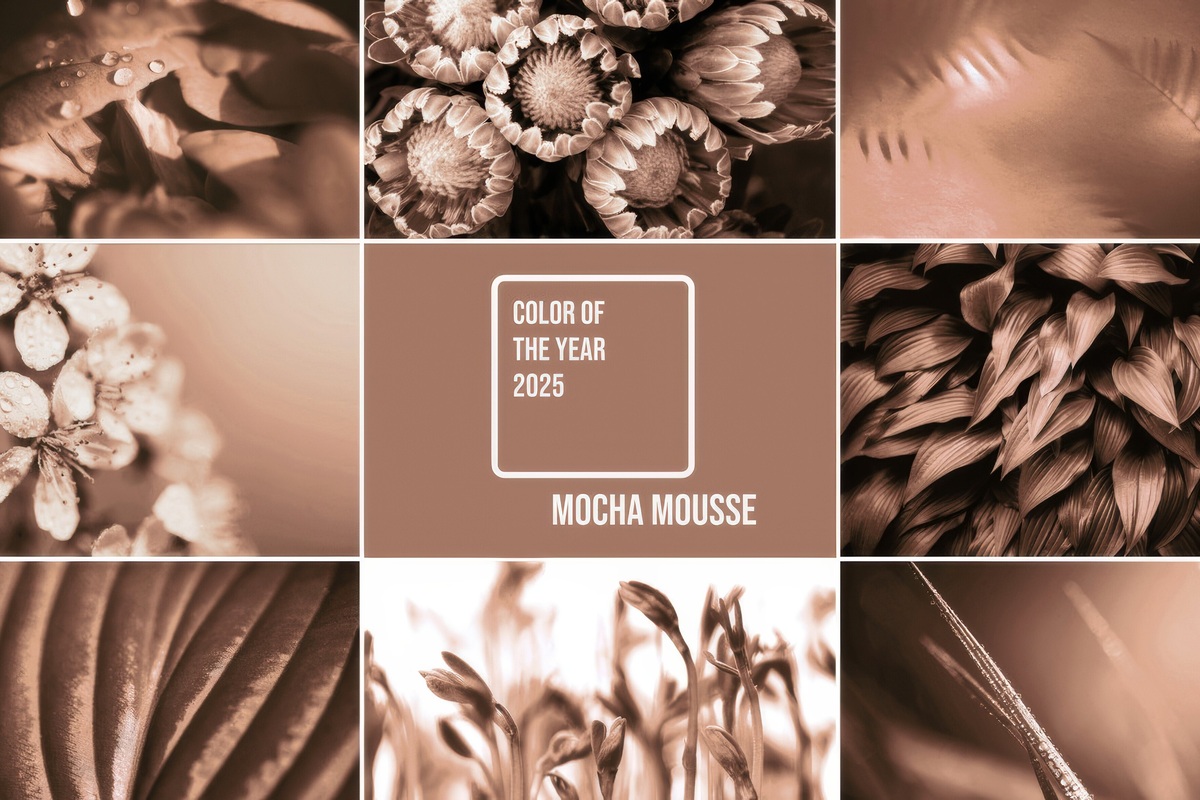 Как обновить дизайн сада в соответствии с трендом 2025 года от Pantone ...