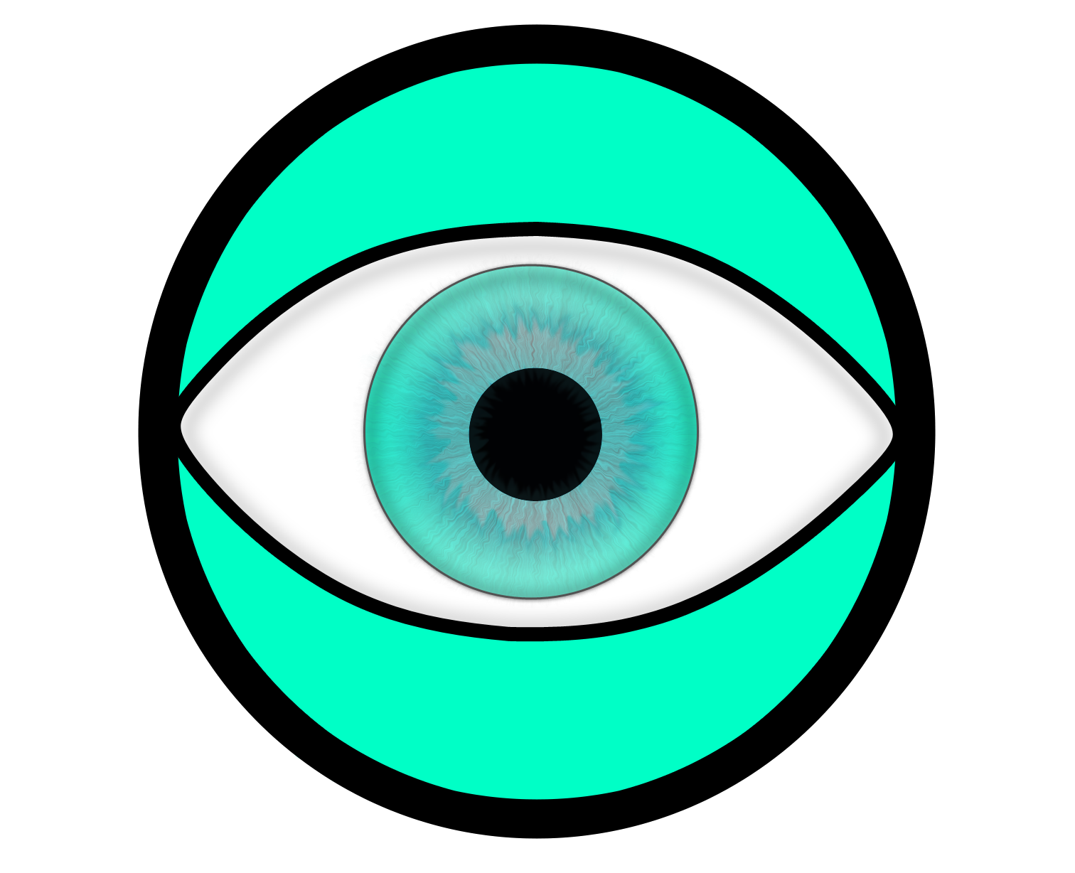 IP view - защита интеллектуальных прав