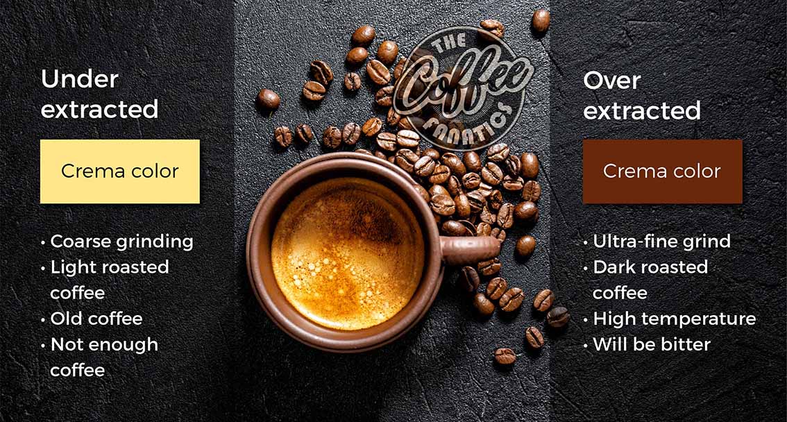 How to Drink Espresso| What is Espresso Crema? | Espresso Flavor ...