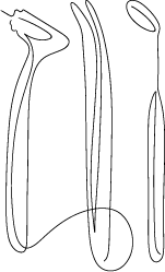 Стоматологическая клиника ENDOVIEW