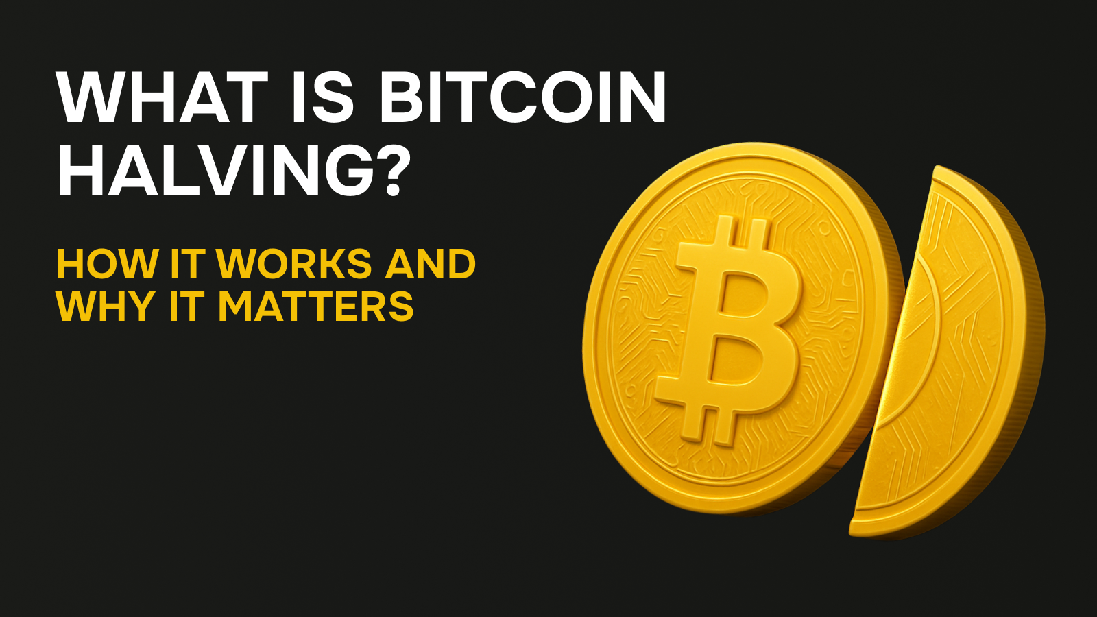 The Ultimate Guide to Bitcoin Halving: What Is BTC Halving?