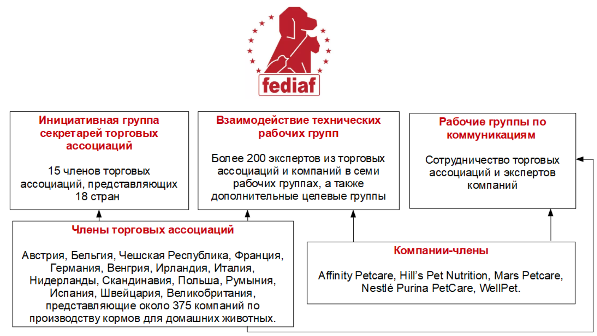 Обновленные рекомендации FEDIAF по кормлению кошек и собак 2024. EVETDIET