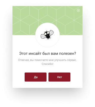 Digital-студия StandApp