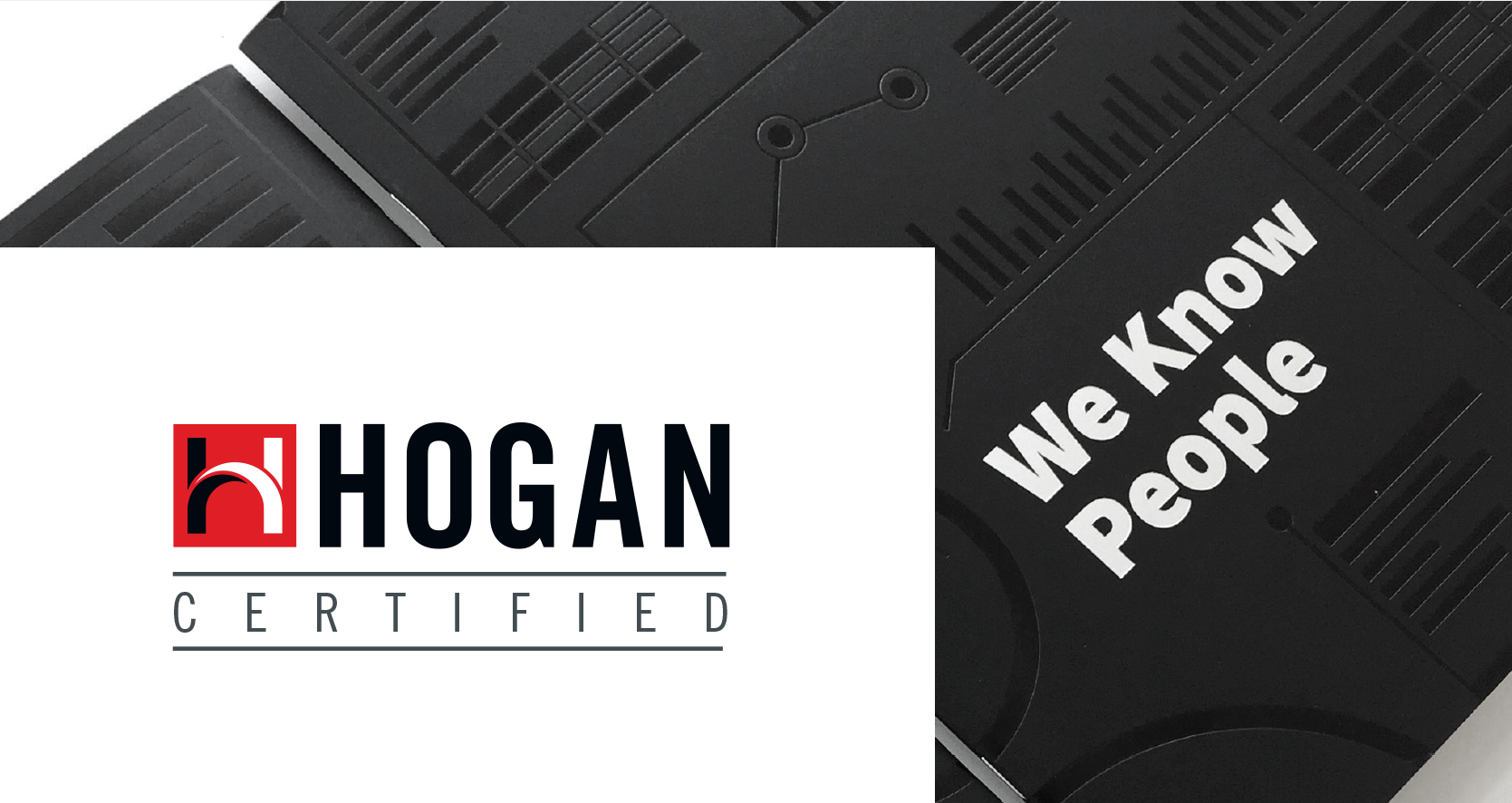 Тестирование Hogan Assessment (тест Хоган)