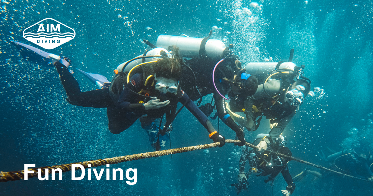 AIM Diving — Fun Diving