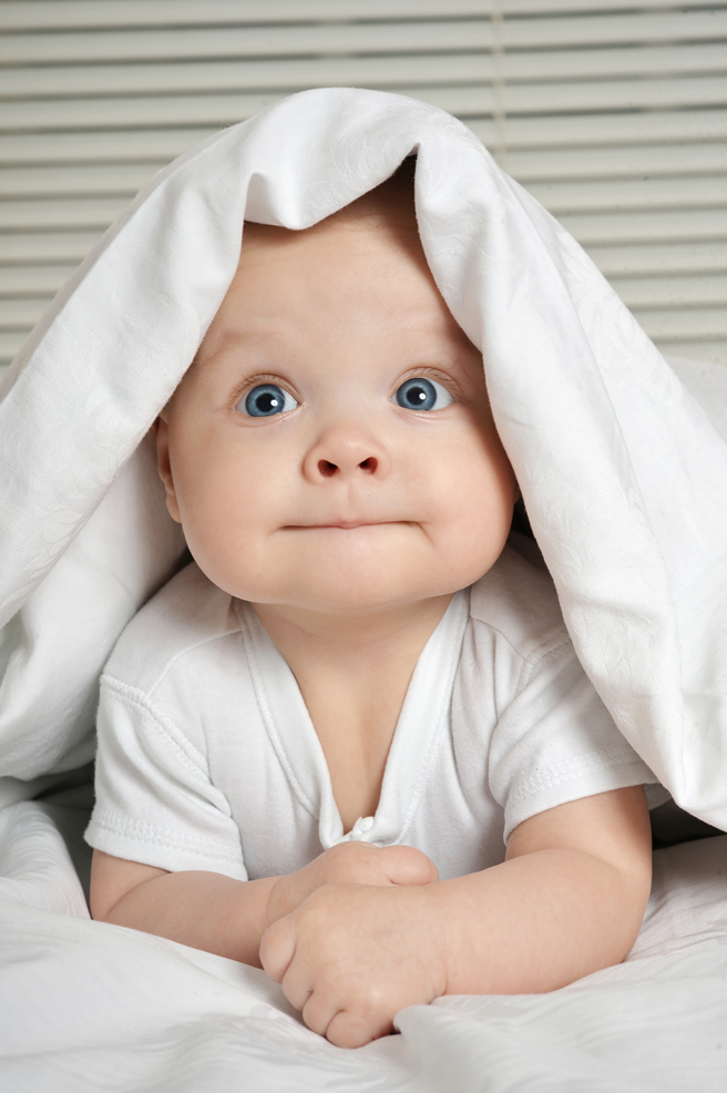 Kokoshi Japan quality diapers