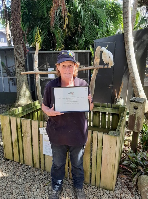 Gallery | PCTI New Zealand