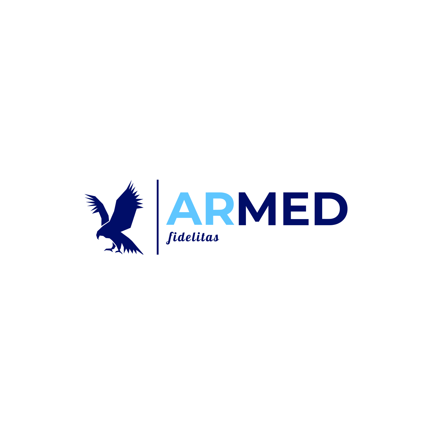 About Armed Inc. — Spine Surgery Systems & Innovation