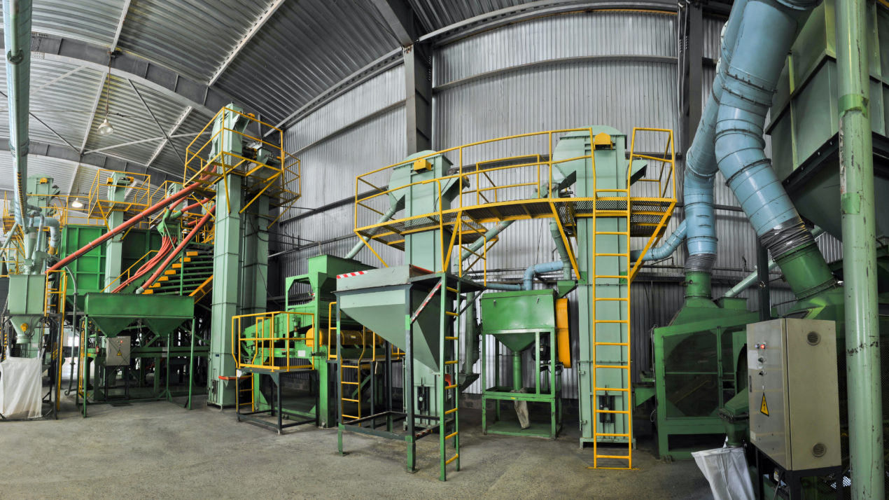 Soybean fodder products