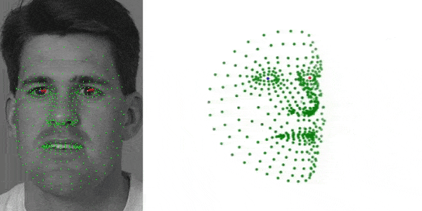 Face Sdk Face Recognition 3divi Inc