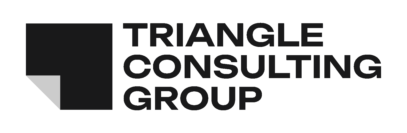 Triangle Consulting Group