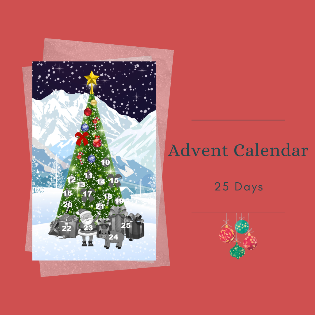 Christmas ESL Advent Calendar. 25 Days