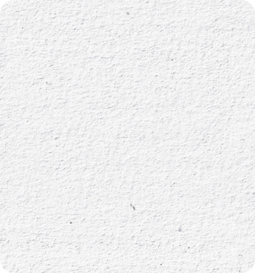 Your training programs | Vladimir Shmondenko