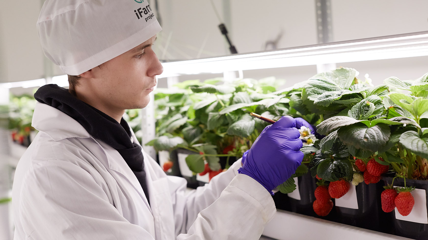 How storage conditions affect products?