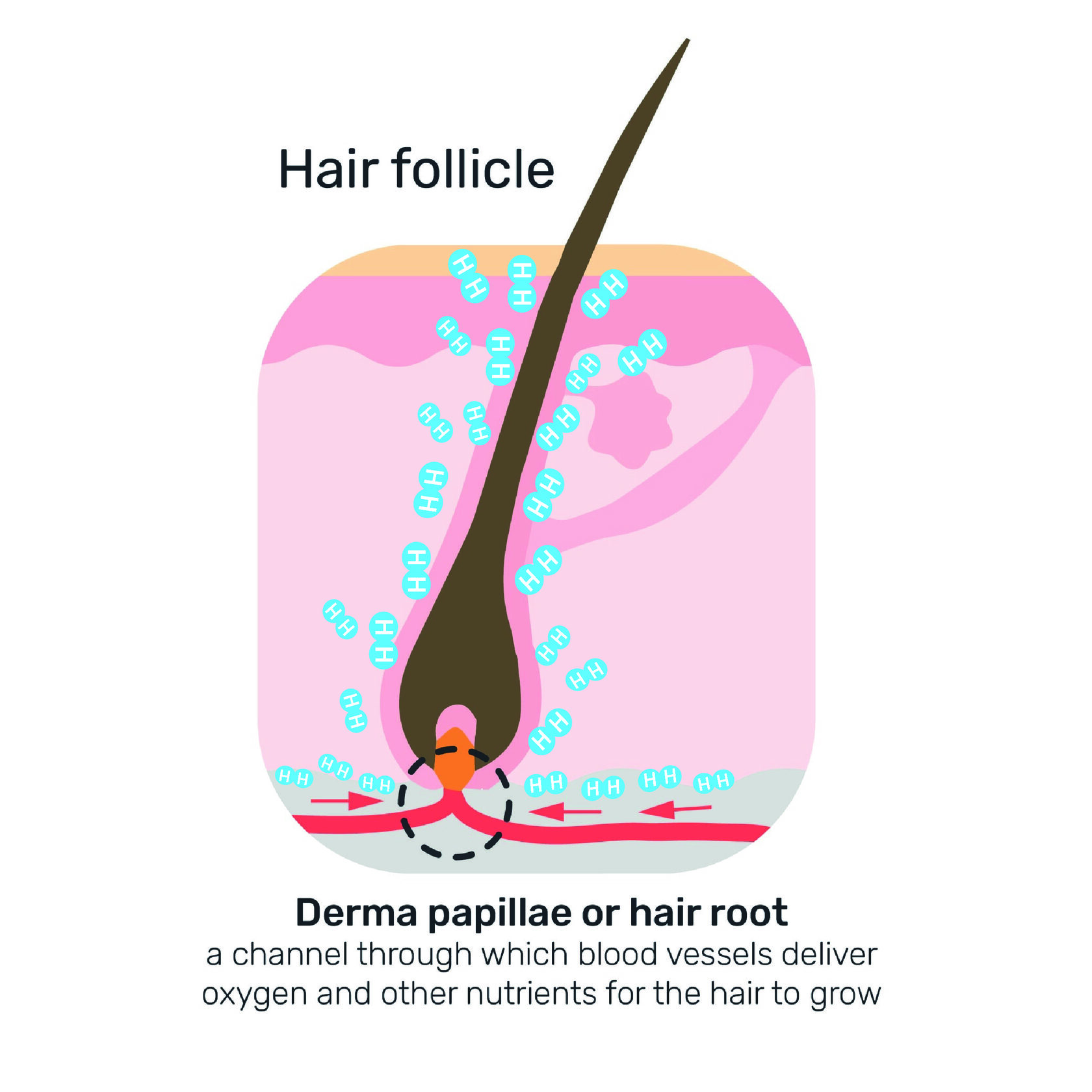 Dr.Hydrogen Hair Magic