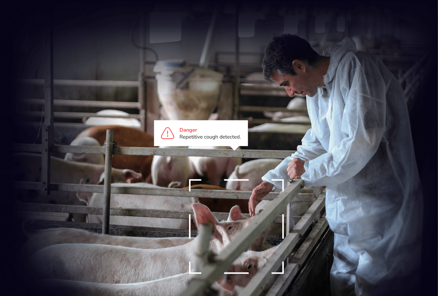 Early Pig Cough and Aggression Detection using AI