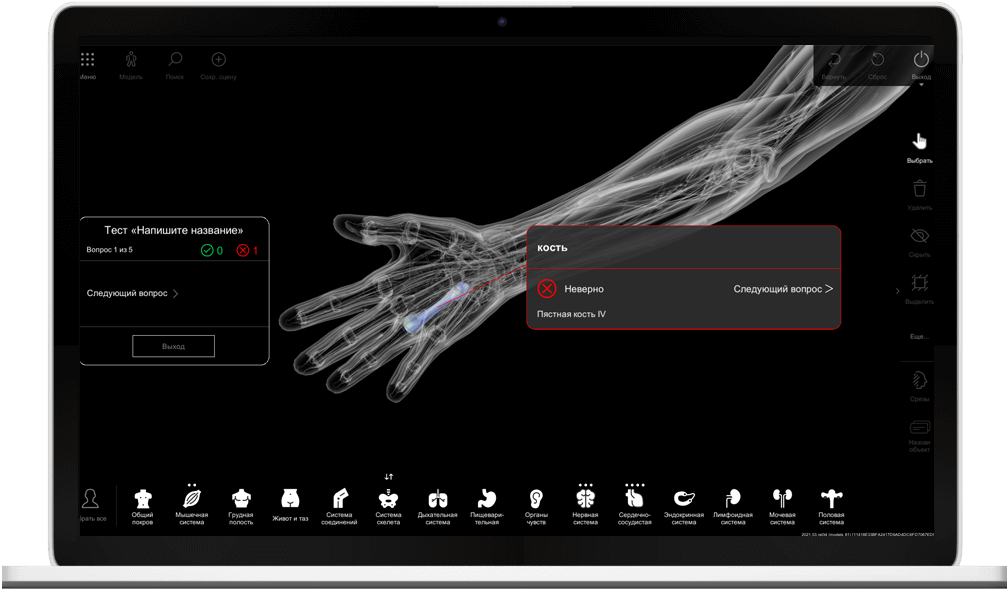 Virtual Dissection Table and App | Interactive anatomy Solution