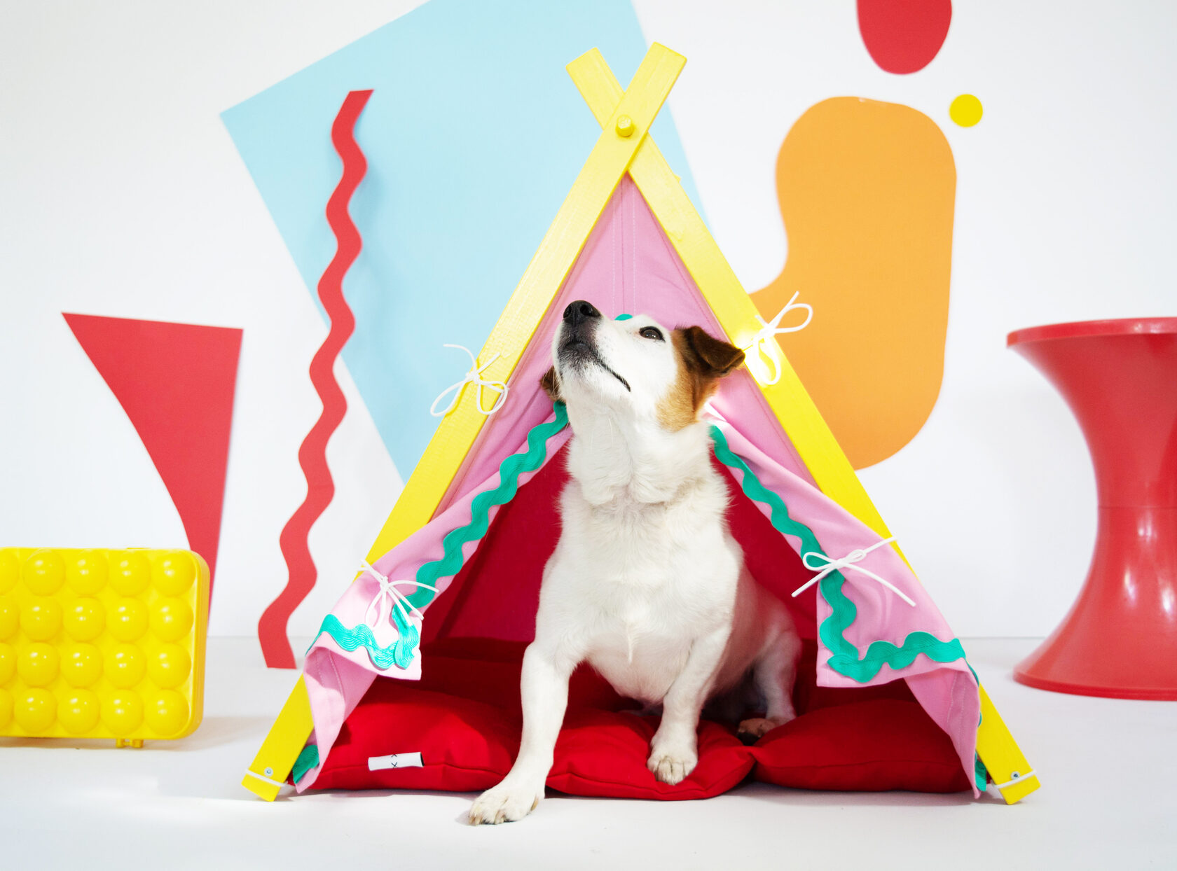 Dog&Teepee