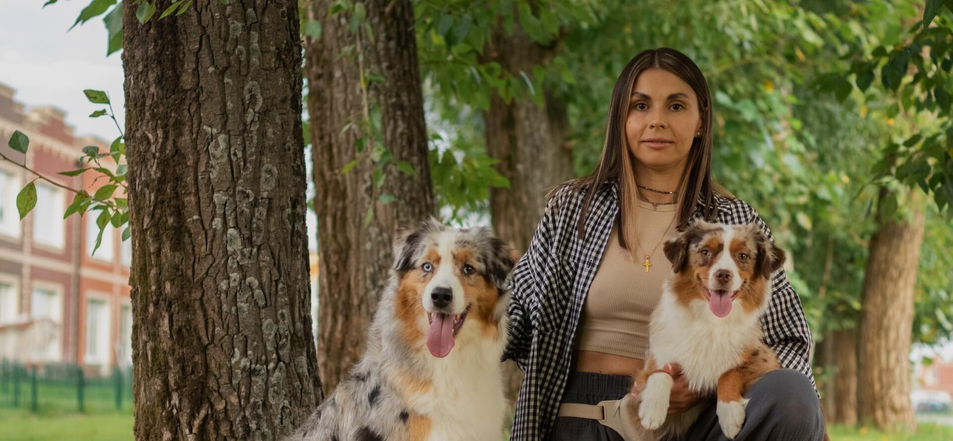 MYSTIC FACE. Питомник австралийских овчарок. Мас и Аусси