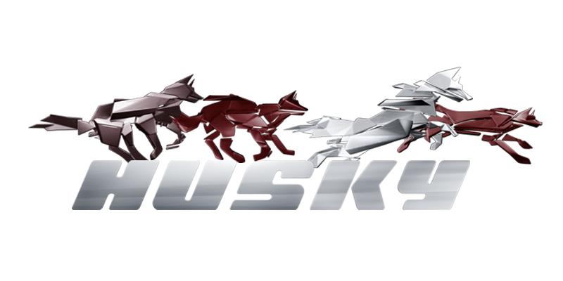 Аккумуляторы Husky: все серии акб DIN, JIS, TRUCK, EFB, AGM, BCI