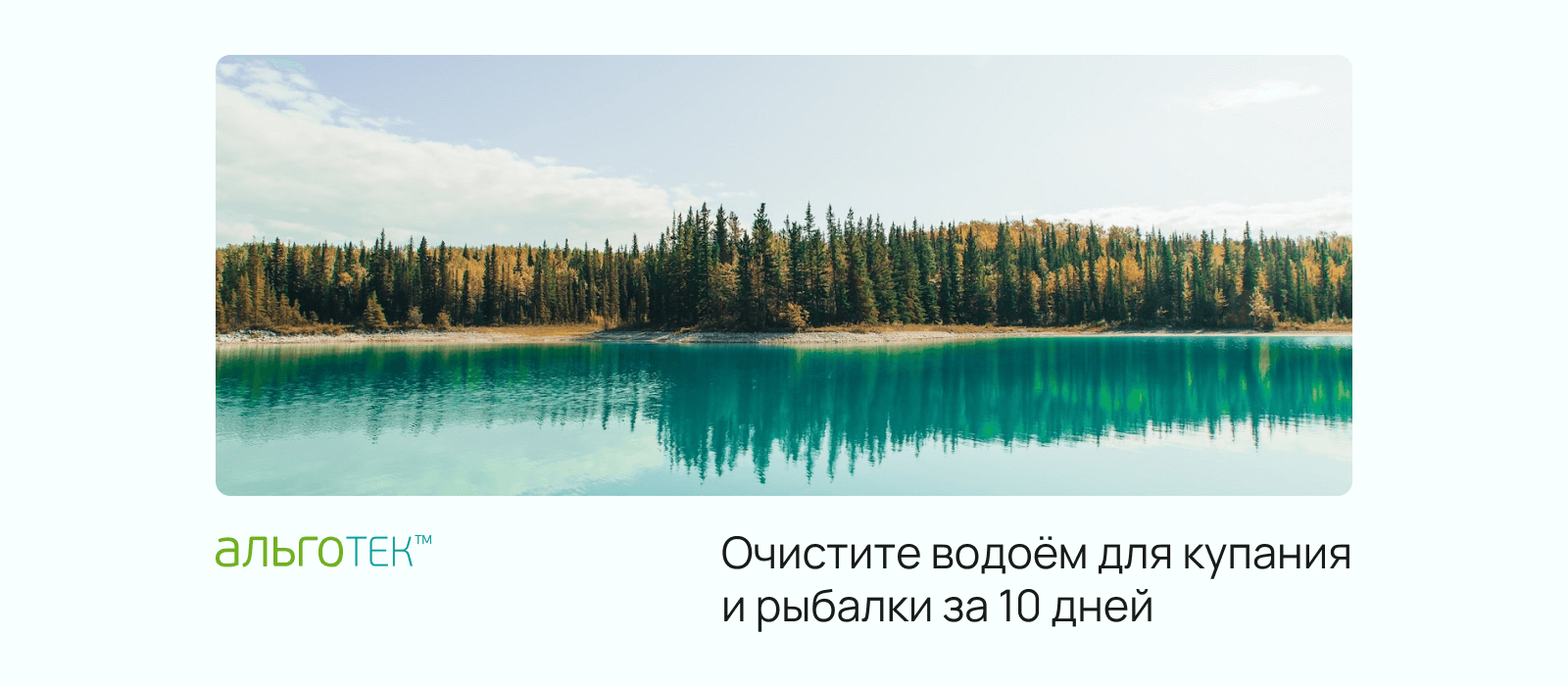 Хлорелла для водоёмов «Альготек» с доставкой по РФ