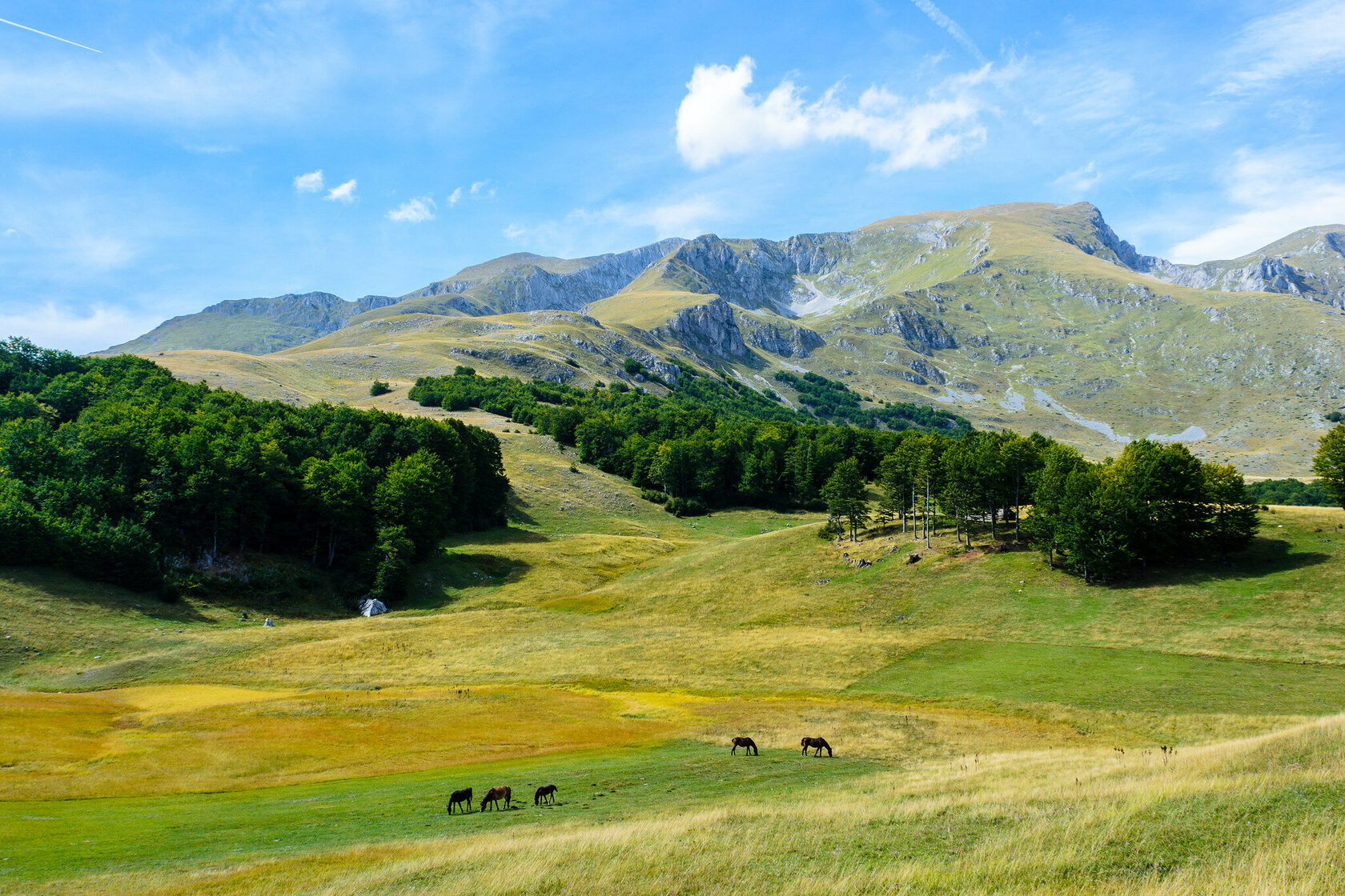 Things to do in Zabljak during summer