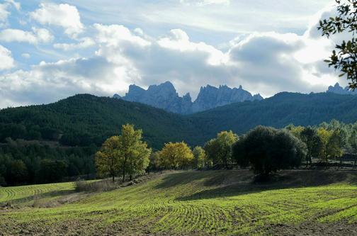Cork to Dublin Train | Timetable & Tickets Cost - Ireland Trains