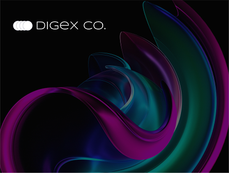 Готовые решения для бизнеса: меньше трат, больше превосходства | Digex Co.