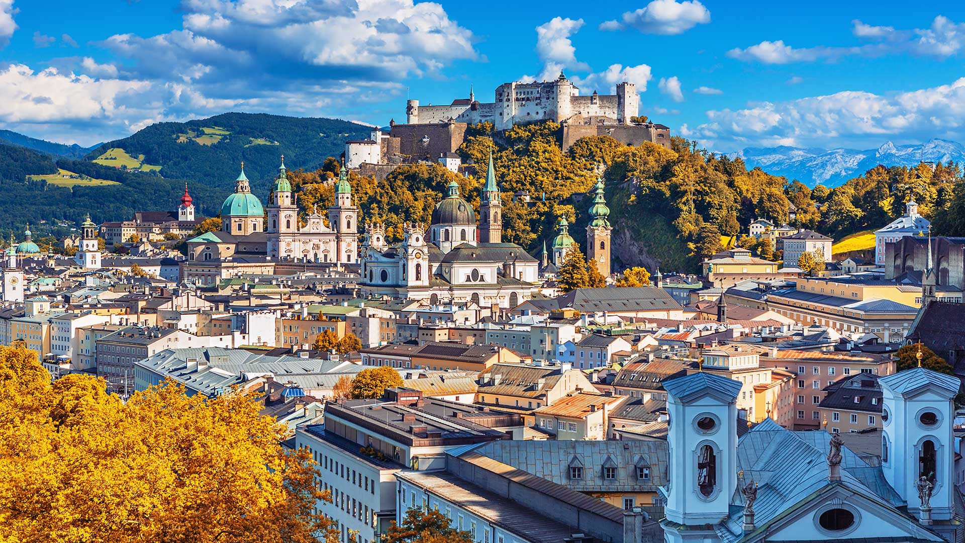 ADDC in Abu Dhabi: Water and Electricity Bill Payment