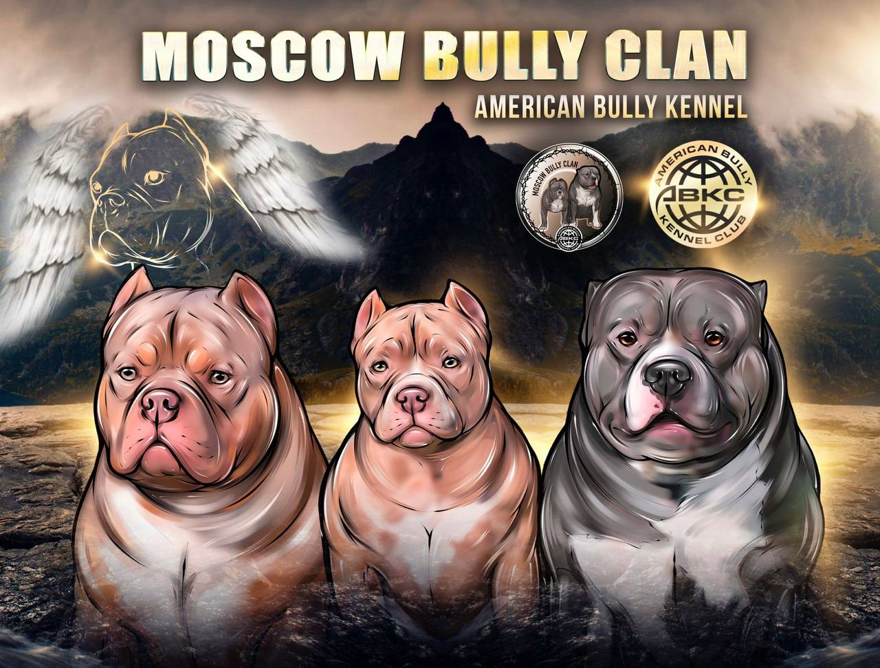 Купить щенка булли в питомнике Moscow Bully Club
