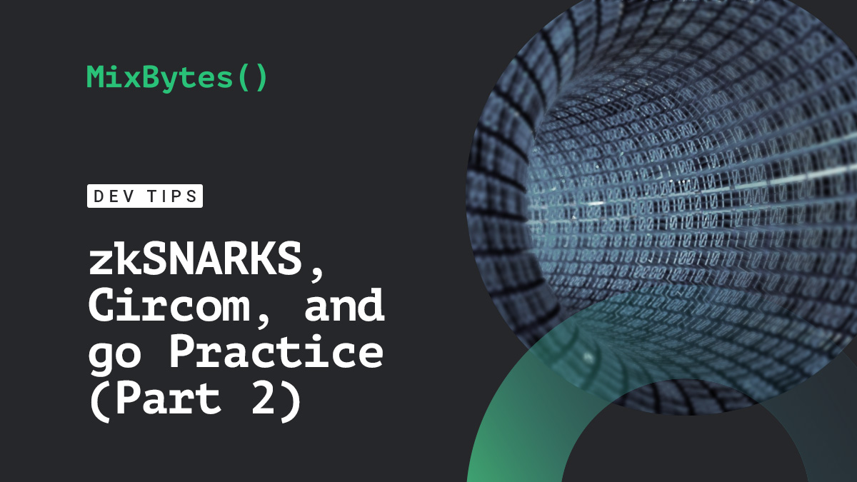 zkSNARKS, Circom, and go Practice (Part 2)