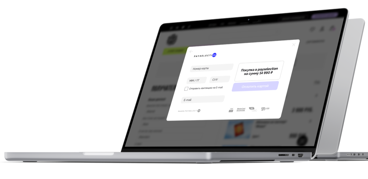 Оплата на сайте с помощью платежного виджета - PayWidget