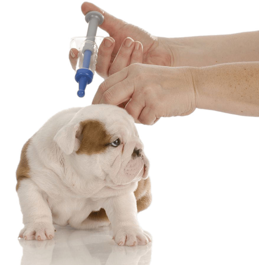 Вакцины и вакцинация