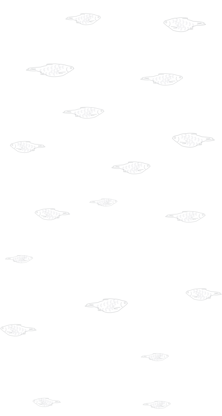 Вяленая вобла из Астрахани !!! Доставка по всей России от 1 кг.