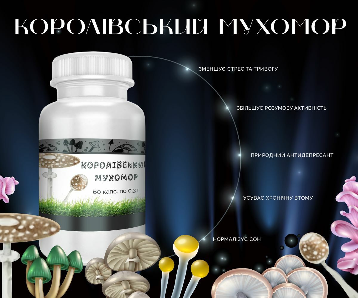 Мухомор красный в капсулах: где купить в Украине, эффекты и отзывы
