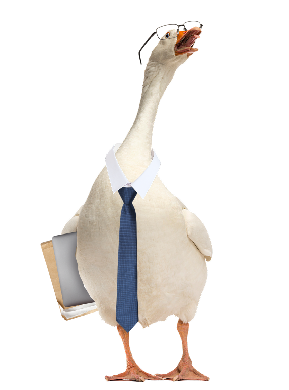 Selectel Day Off 2025